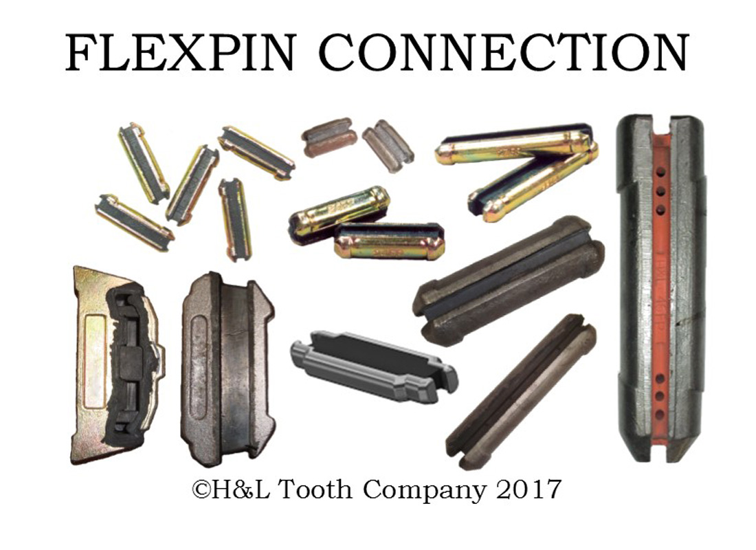 A Tooth Identification | Hltooth