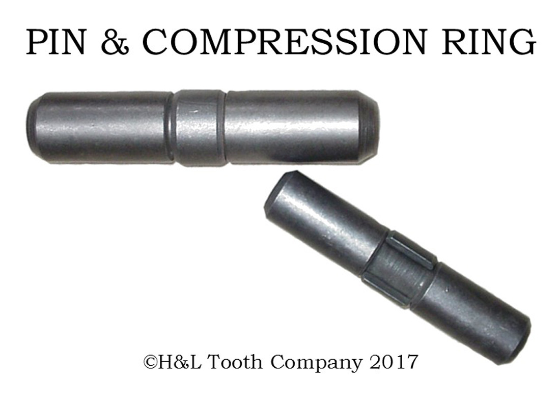 A Tooth Identification | Hltooth