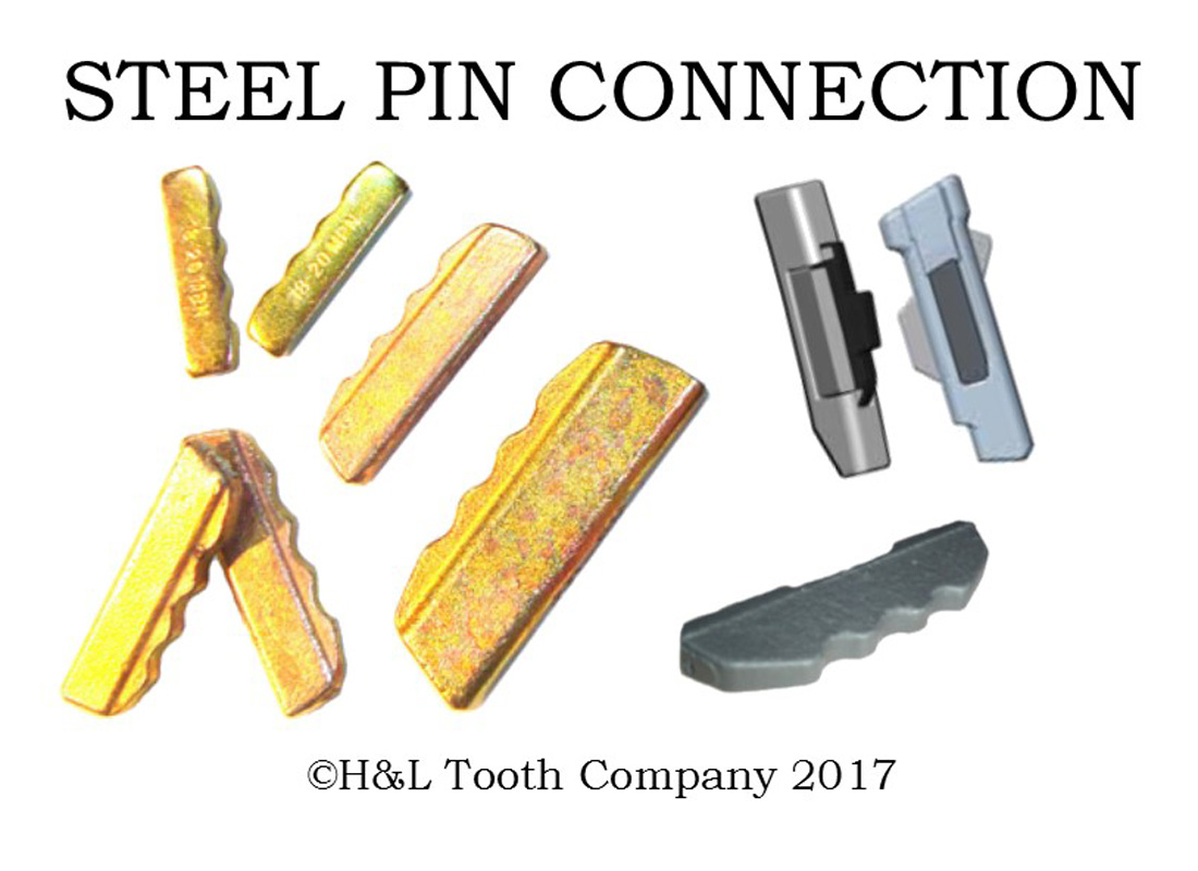 A Tooth Identification | Hltooth