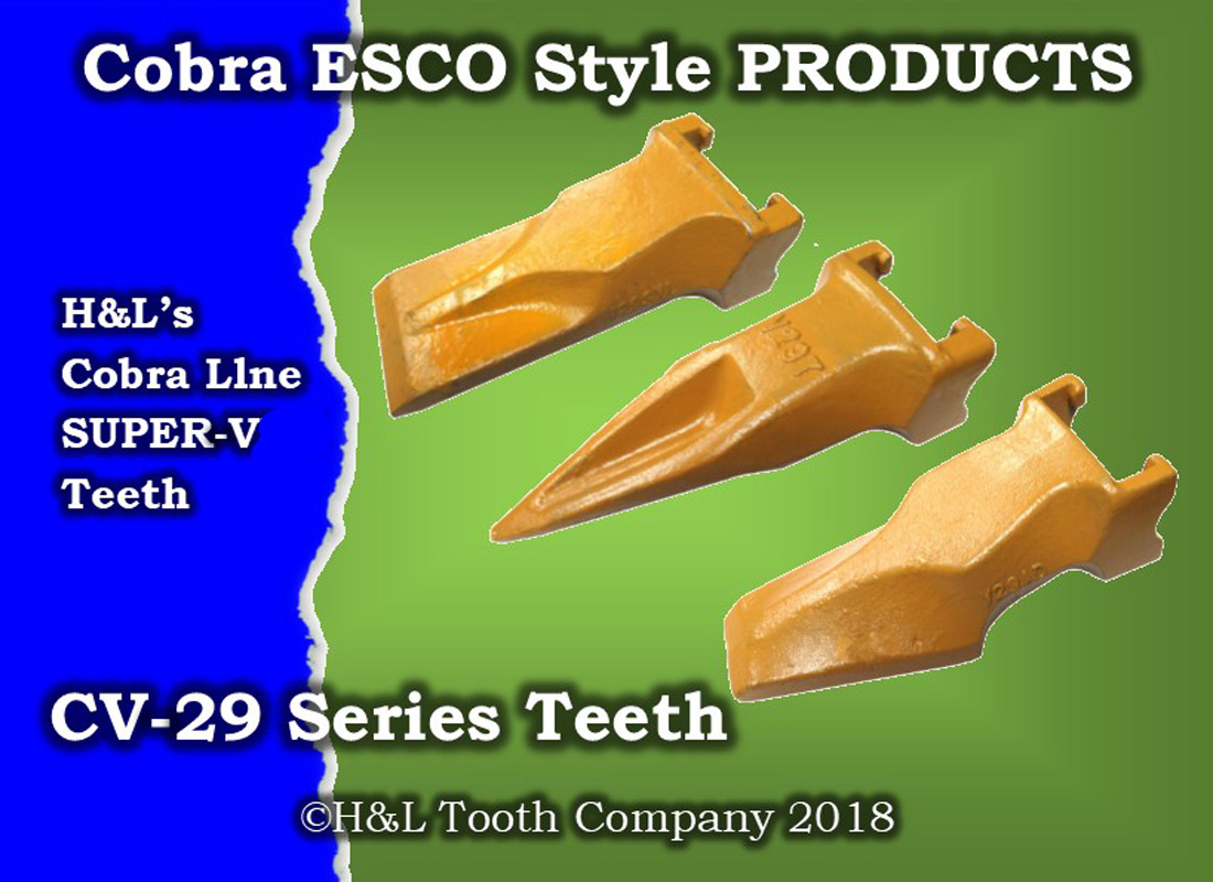 CV-29 Series Super-V Teeth | Hltooth